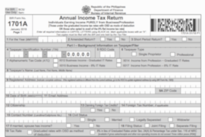 How to file an annual income tax return – Astrid Abella